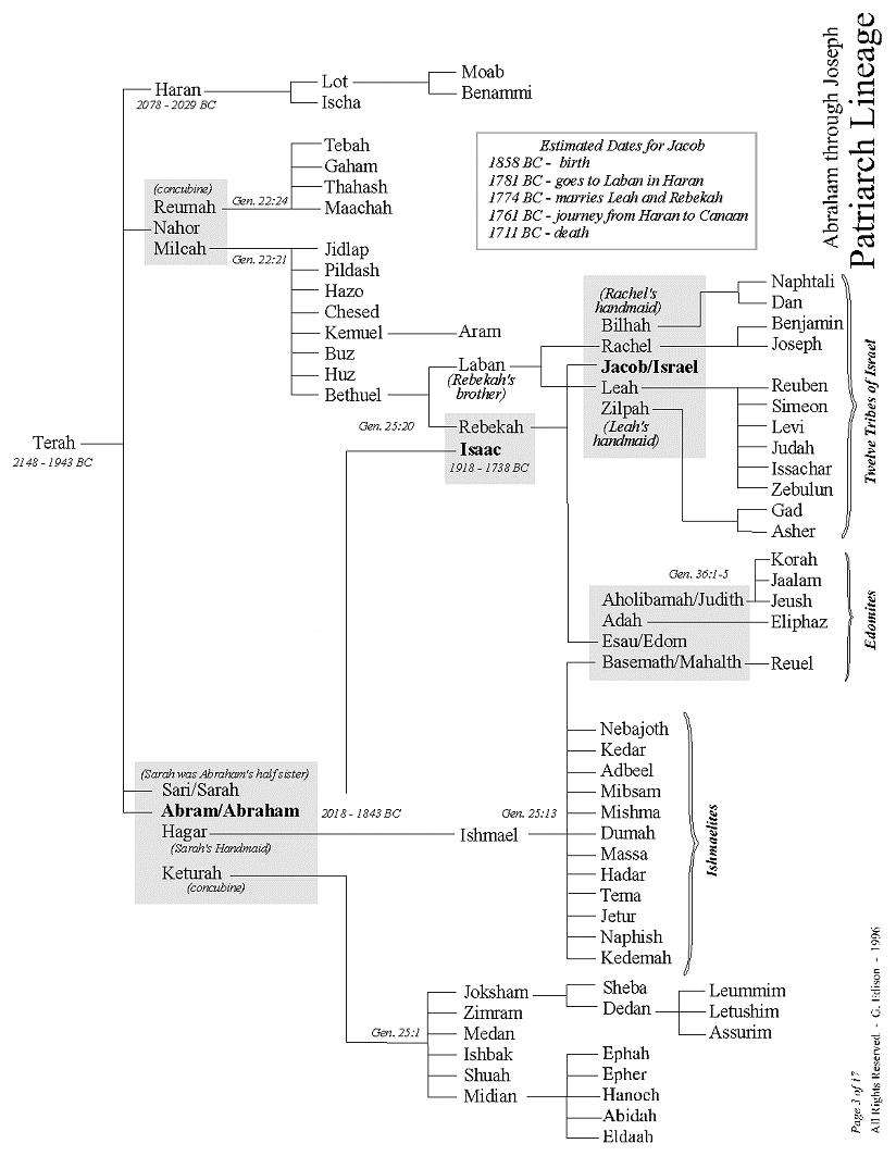Patriarchal Family Tree